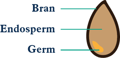 Whole Grains – Bürgen® Bread Australia